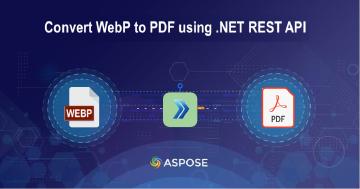 DOC PDF PPT Excel Conversion REST APIs: C# .NET Python Java