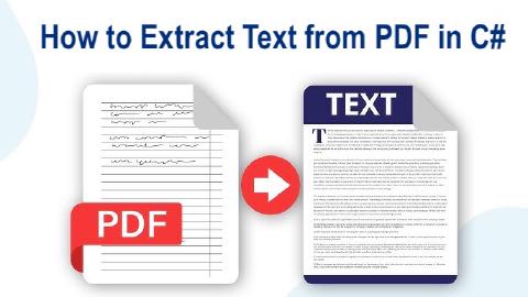 DOC PDF PPT Excel Conversion REST APIs: C# .NET Python Java
